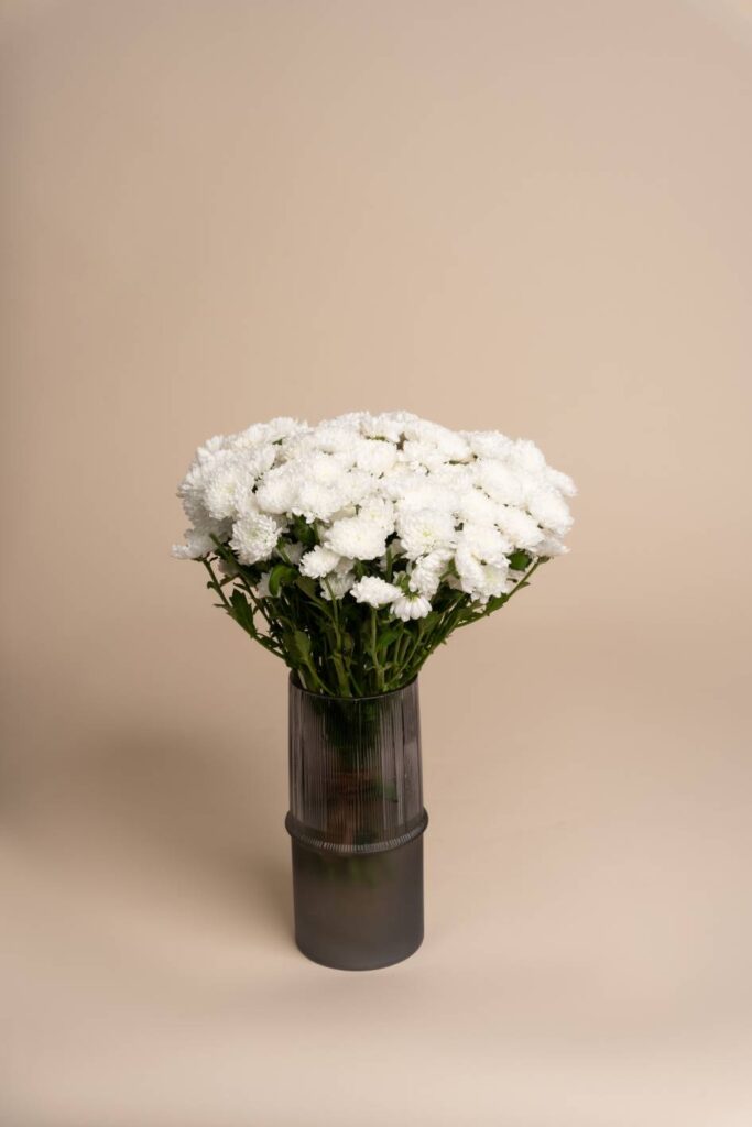 Petal Perfection - Willow